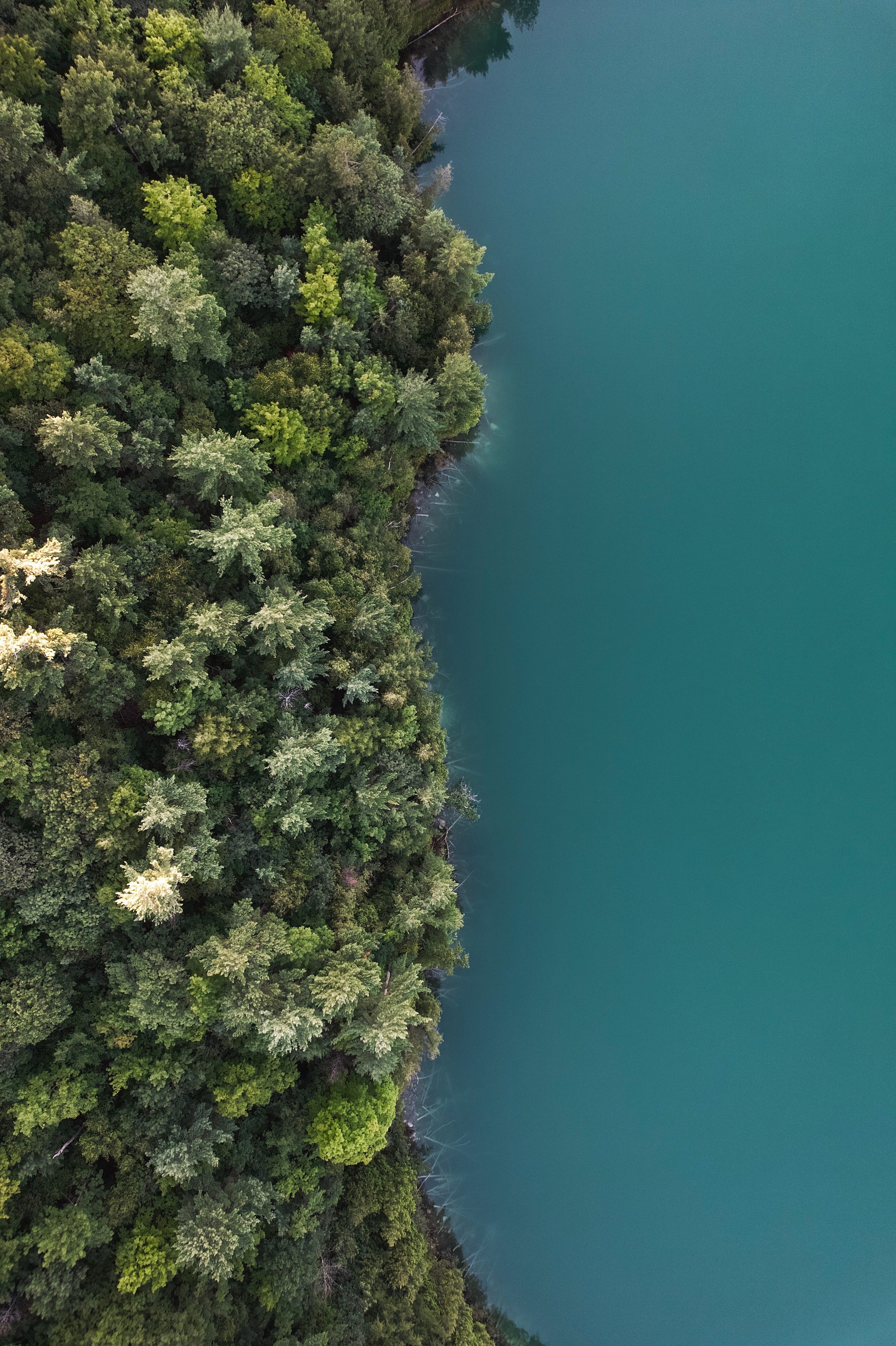 Jordan Morrison Photography